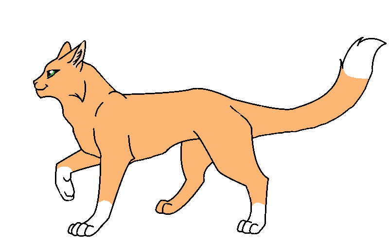 Piaskowy Ogon | Koci wojownicy Wiki | Fandom