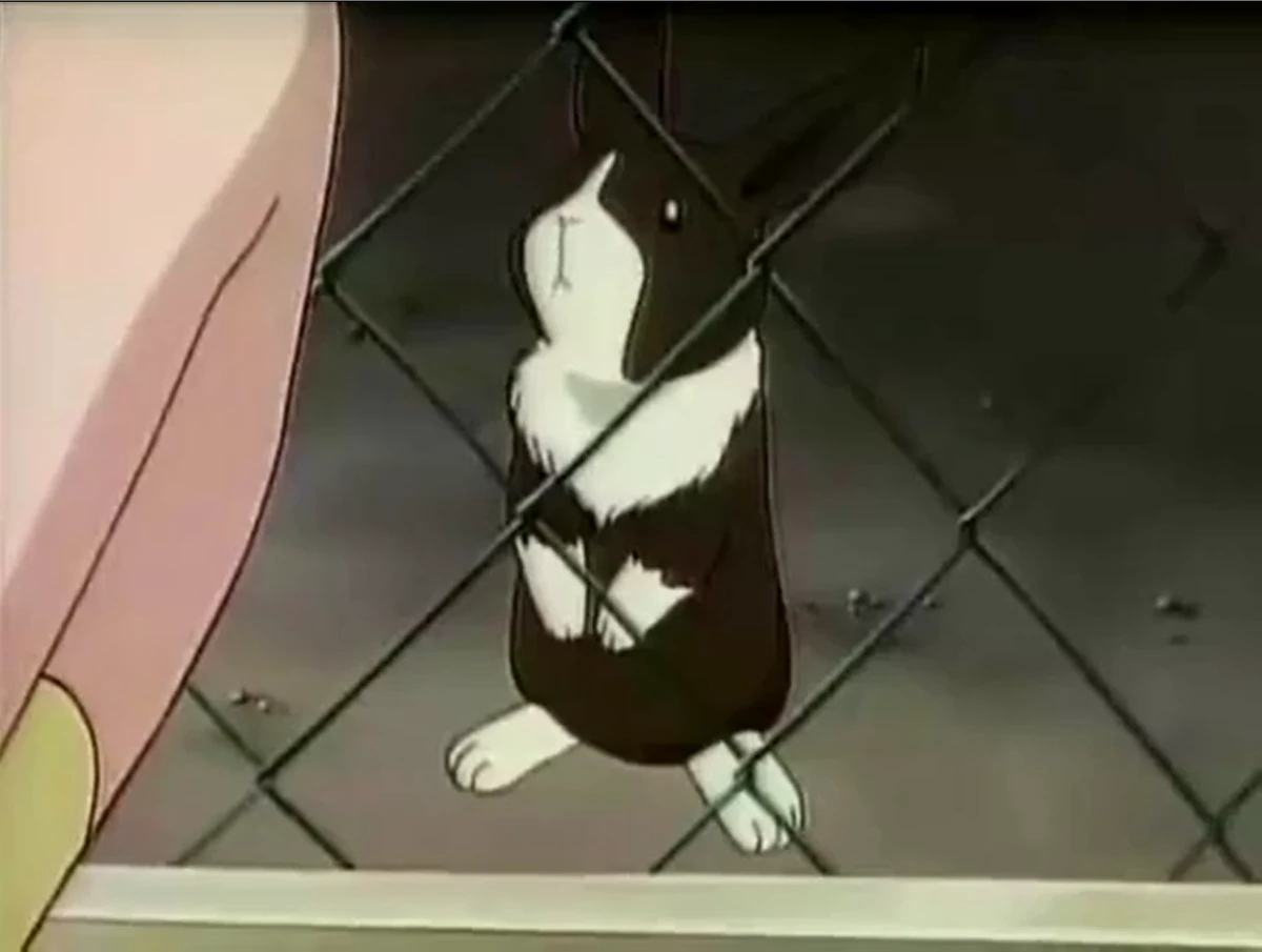 Korusuke | Kodocha Wiki | Fandom