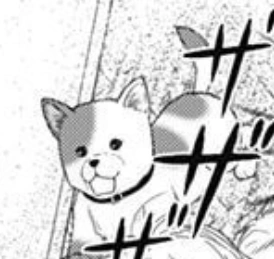 Ruma | Kodocha Wiki | Fandom