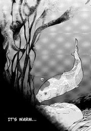 Koi Fish | Koe no Katachi Wiki | Fandom