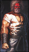 Mr. Karate | The King of Fighters Wiki | Fandom