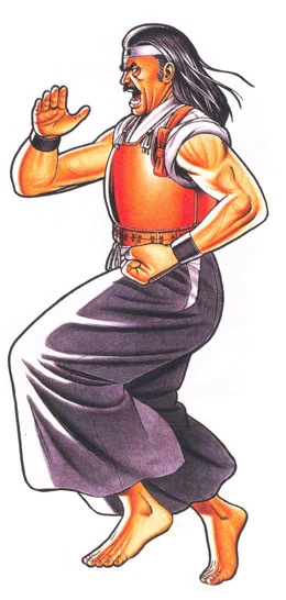 Ryuhaku Todoh | The King of Fighters Wiki | Fandom