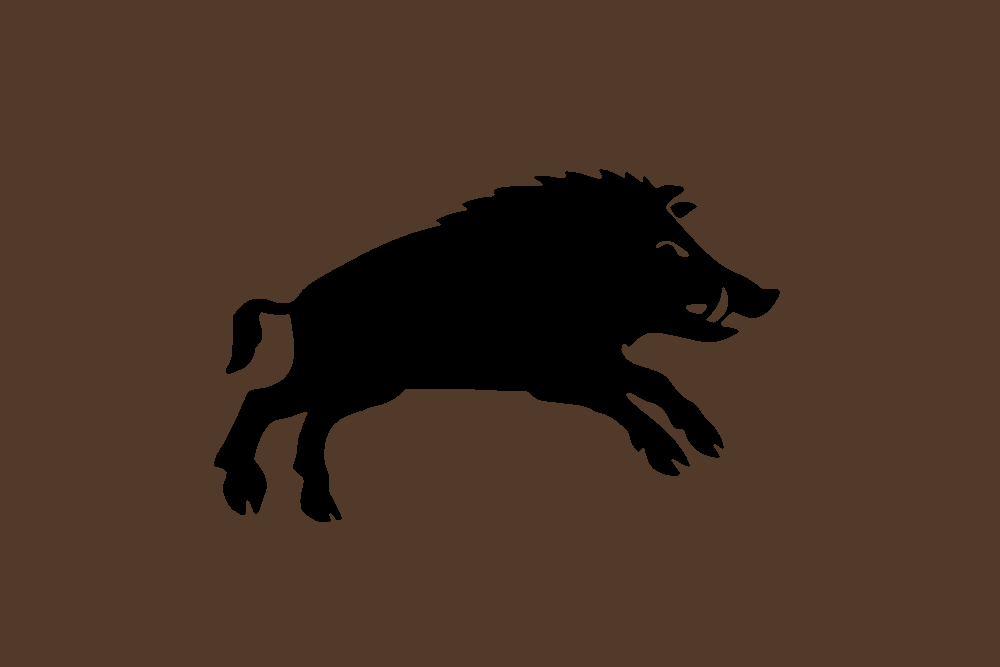 Boars | Kolin's Main DnD Wiki | Fandom