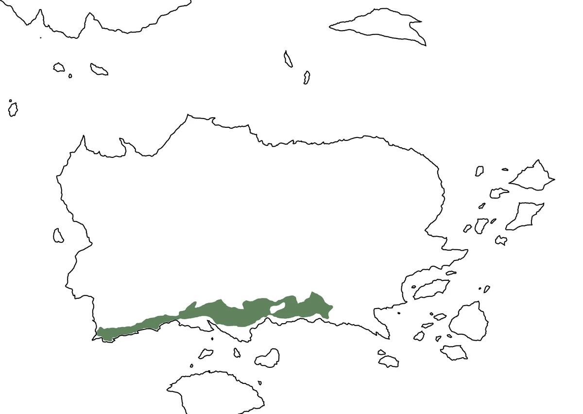 Southern Steppe | Kolin's Main DnD Wiki | Fandom