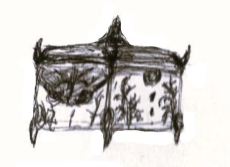 Namu chest | Kolin's Main DnD Wiki | Fandom