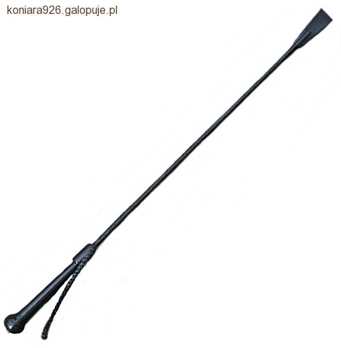 Sztuczne pomoce jeździeckie | Koń Wiki | Fandom