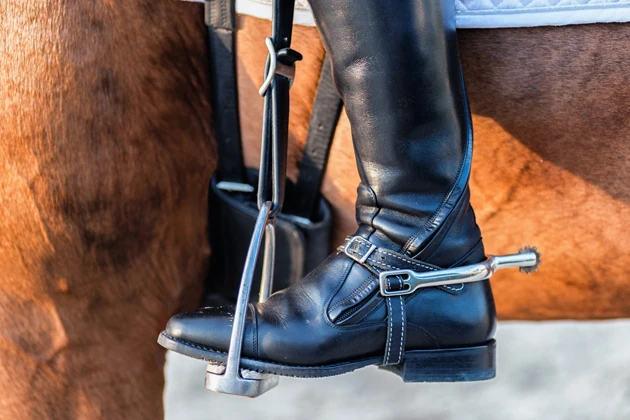 Ostrogi | Koń Wiki | Fandom