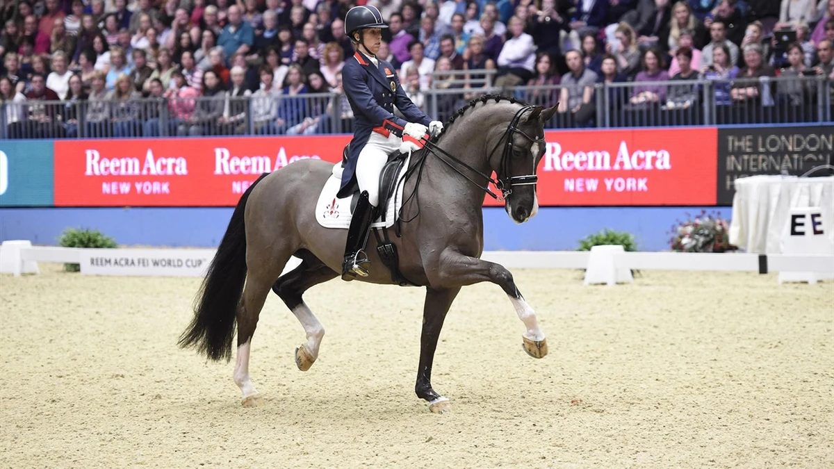 Valegro | Koń Wiki | Fandom