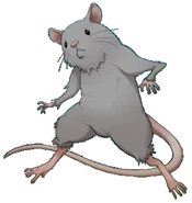 Werebeast | Kono Subarashii Sekai ni Shukufuku wo! Wiki | Fandom