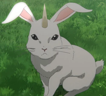 Lovely Rabbit | Kono Subarashii Sekai ni Shukufuku wo! Wiki | Fandom