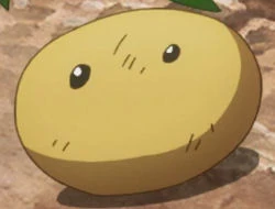 Potato | Kono Subarashii Sekai ni Shukufuku wo! Wiki | Fandom