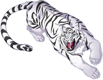 Anime White Tiger Drawing