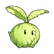 Lettuce | Kono Subarashii Sekai ni Shukufuku wo! Wiki | Fandom