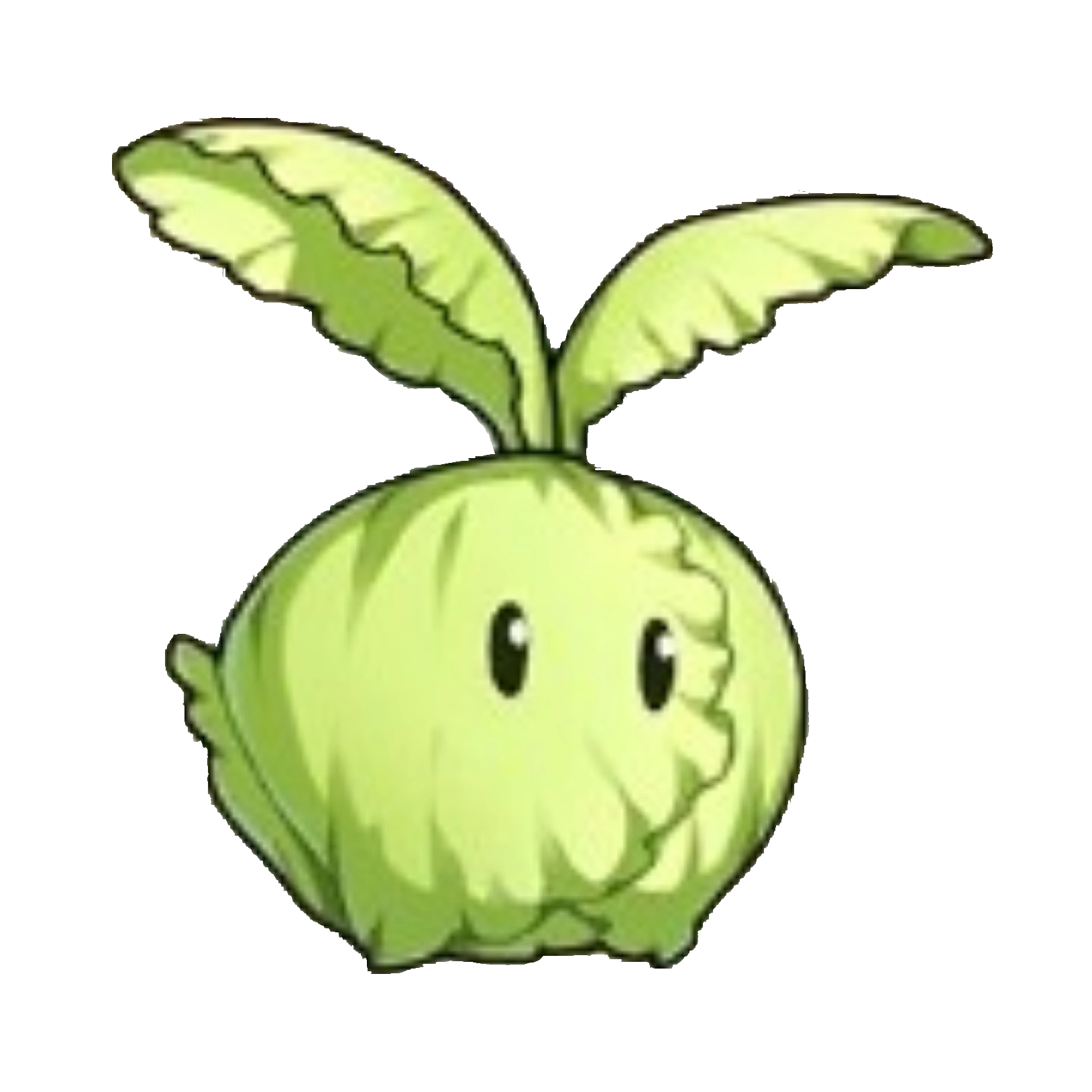 Lettuce | Kono Subarashii Sekai ni Shukufuku wo! Wiki | Fandom