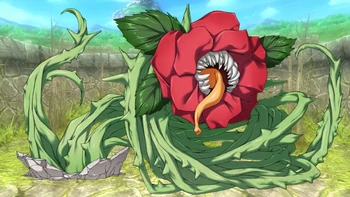 Muncher-Muncher | Kono Subarashii Sekai ni Shukufuku wo! Wiki | Fandom