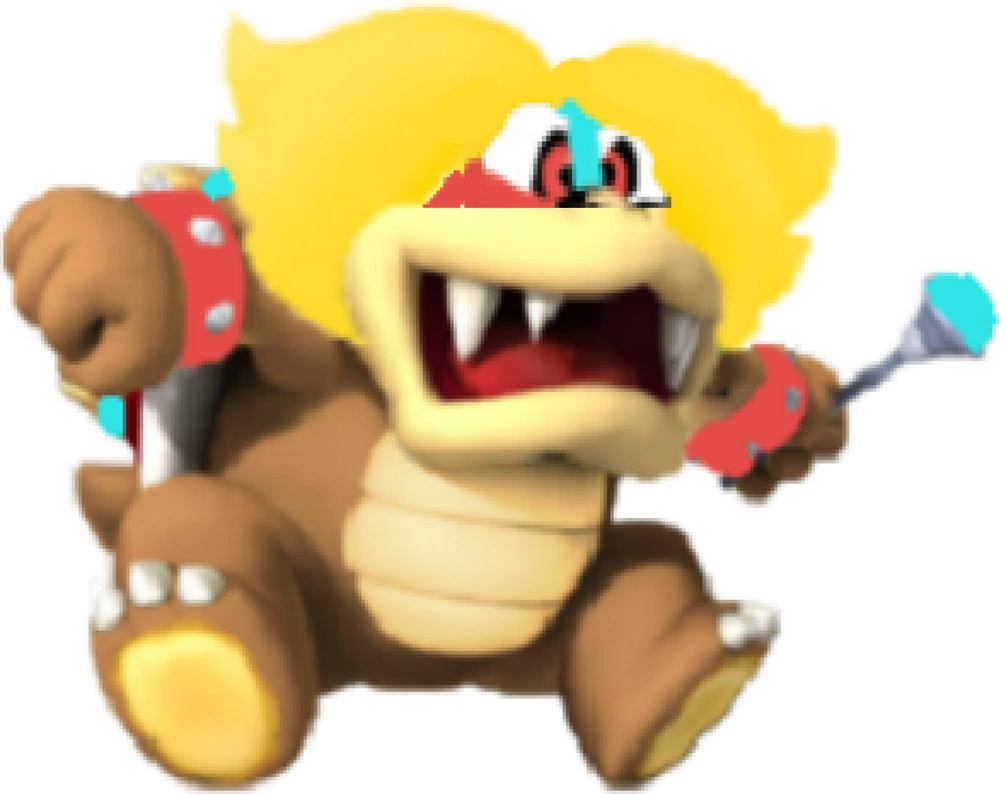 Matthew Koopa Jr. | Koopaling Wiki | Fandom