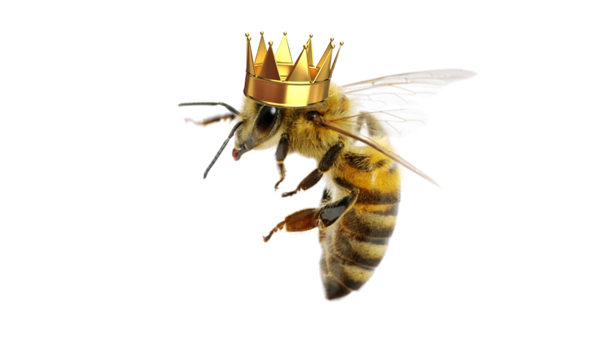 King Bee | Korey Mouse Smith Wiki | Fandom