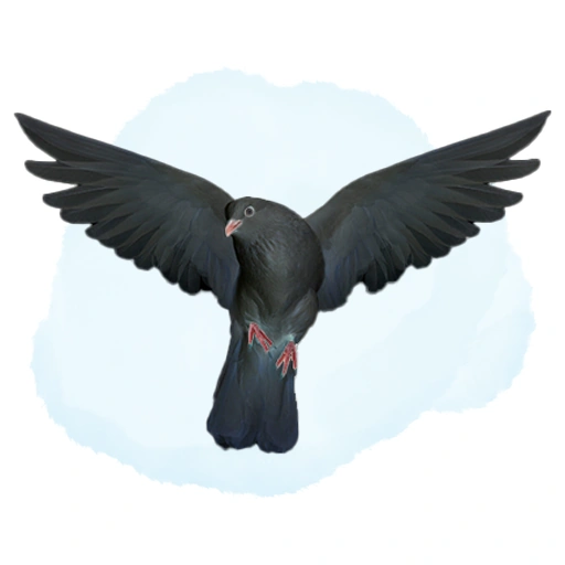 Munin | Koronis & Totalia Wiki | Fandom