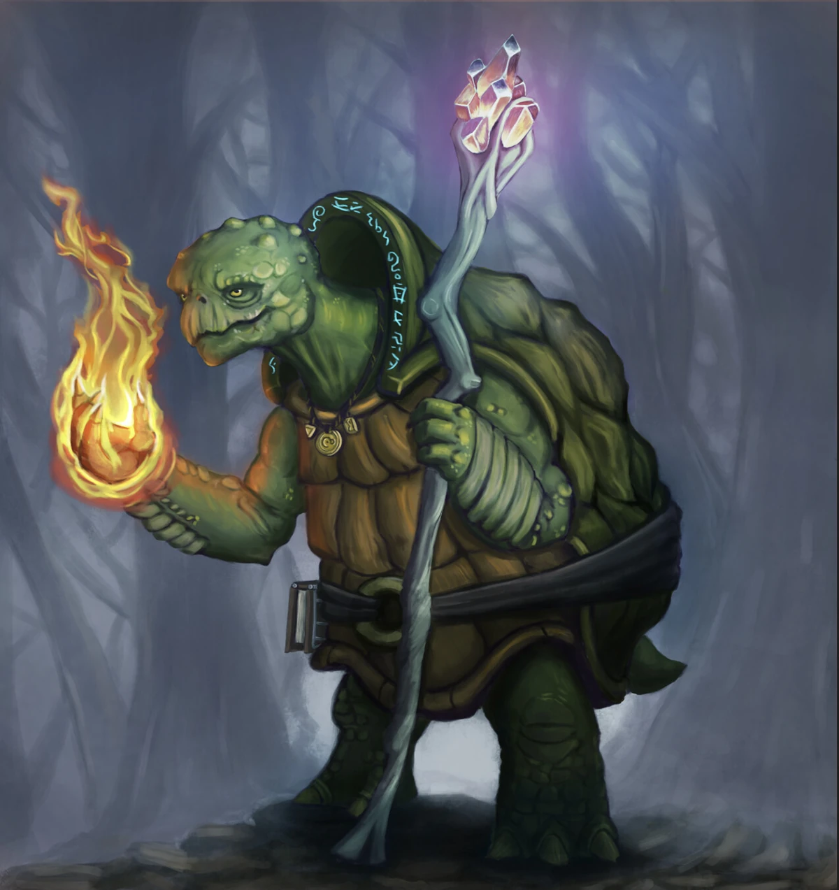 Tortle | Kortera Wiki | Fandom