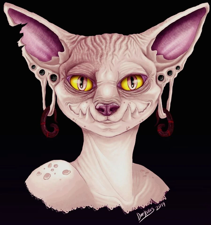 Pilfer | Kortera Wiki | Fandom