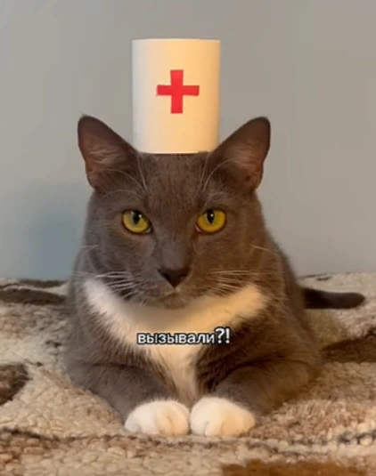 Главврач | Kotinet Вики | Fandom