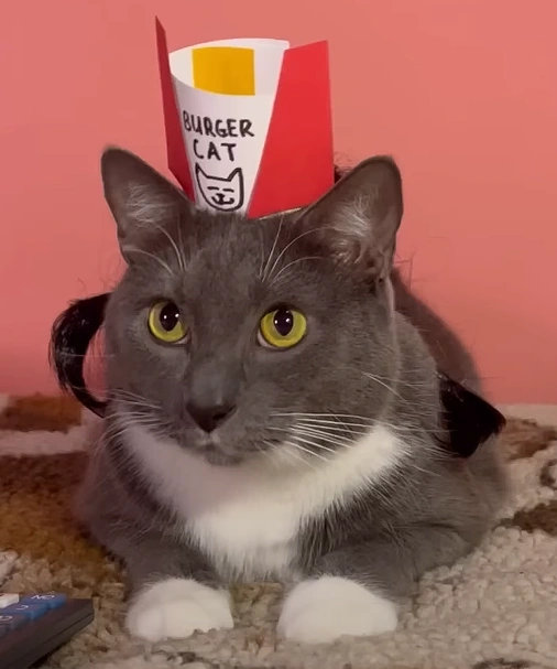 Сотрудник BURGER CAT | Kotinet Вики | Fandom