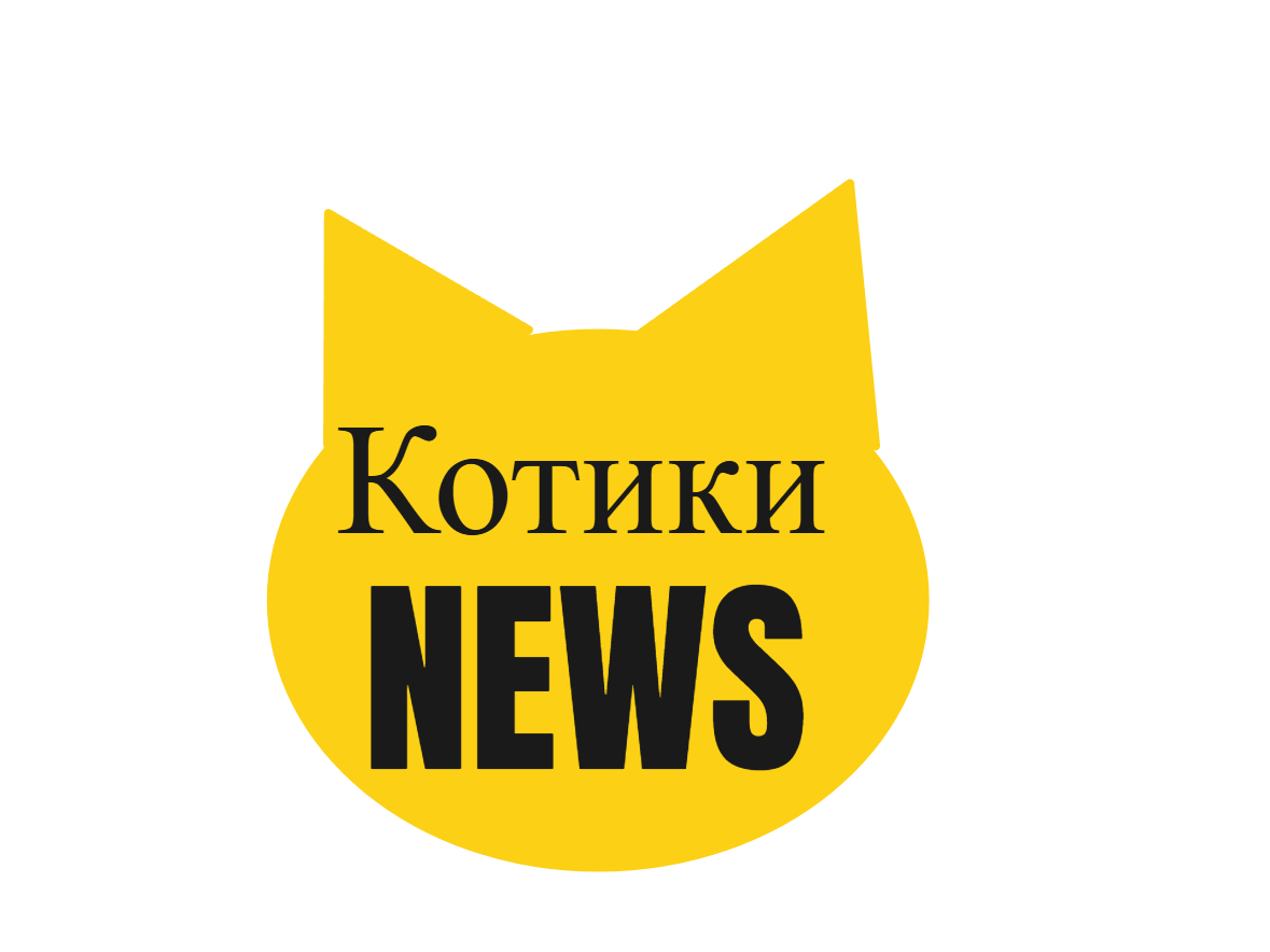 Котики News | Kotiynet Фанон Вики | Fandom