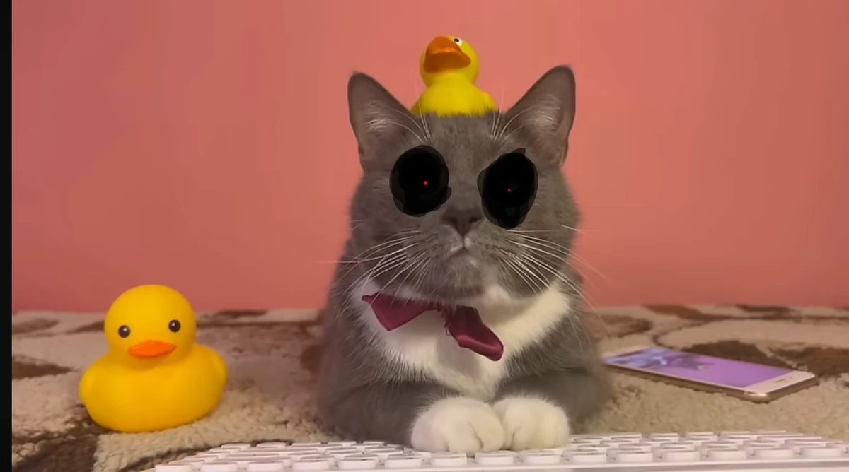 Knife incident | Kotiynet Фанон Вики | Fandom