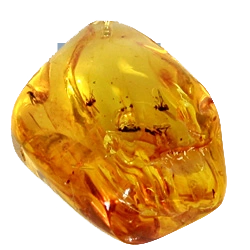 Köz | Köz Wikia | Fandom