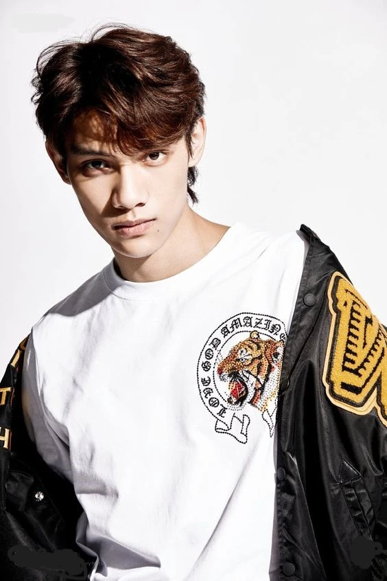 Xingxing | Wounded Stray Dogs Wiki | Fandom