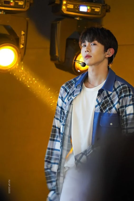 Tan | Wounded Stray Dogs Wiki | Fandom