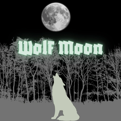 Wolf Moon | K-Pop Fanon Fandom Wiki | Fandom