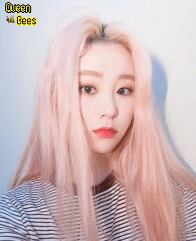Queen Bees Members Profile | K-Pop Fanon Fandom Wiki | Fandom