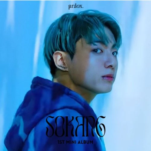 Sokang | K-Pop Fanon Fandom Wiki | Fandom