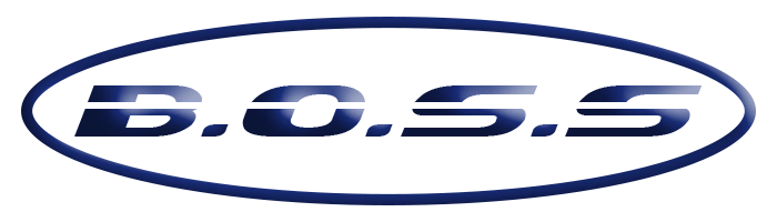 B.O.S.S | K-Pop Fanon Fandom Wiki | Fandom