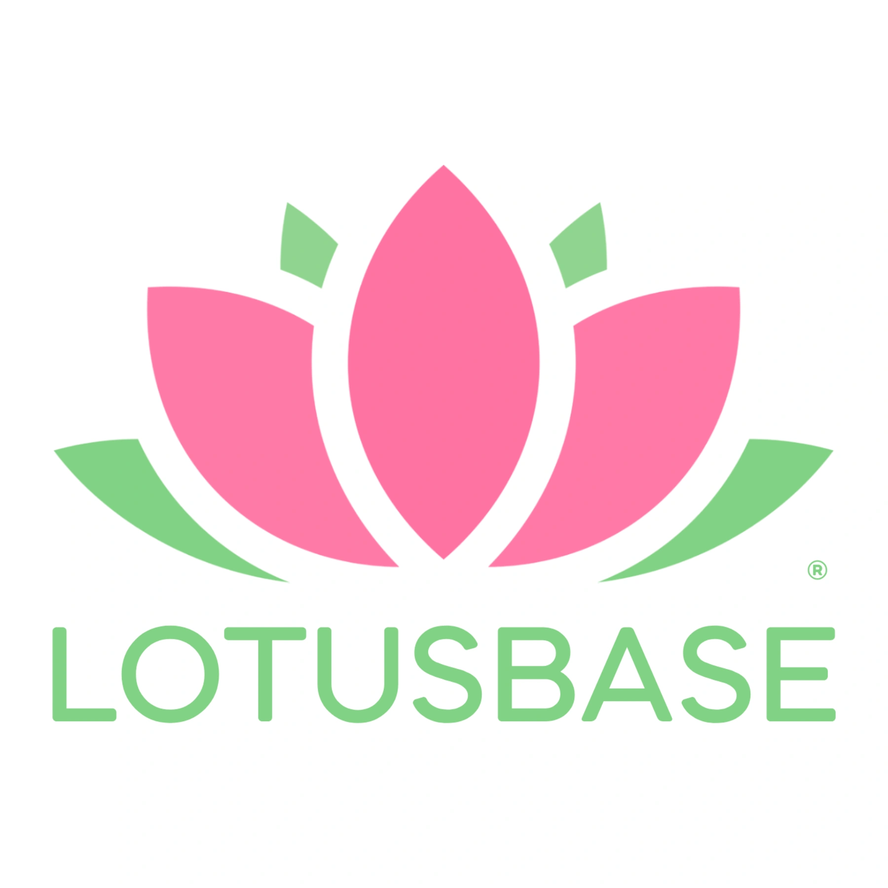 LOTUSBASE 𑁍 | K-Pop Fanon Fandom Wiki | Fandom