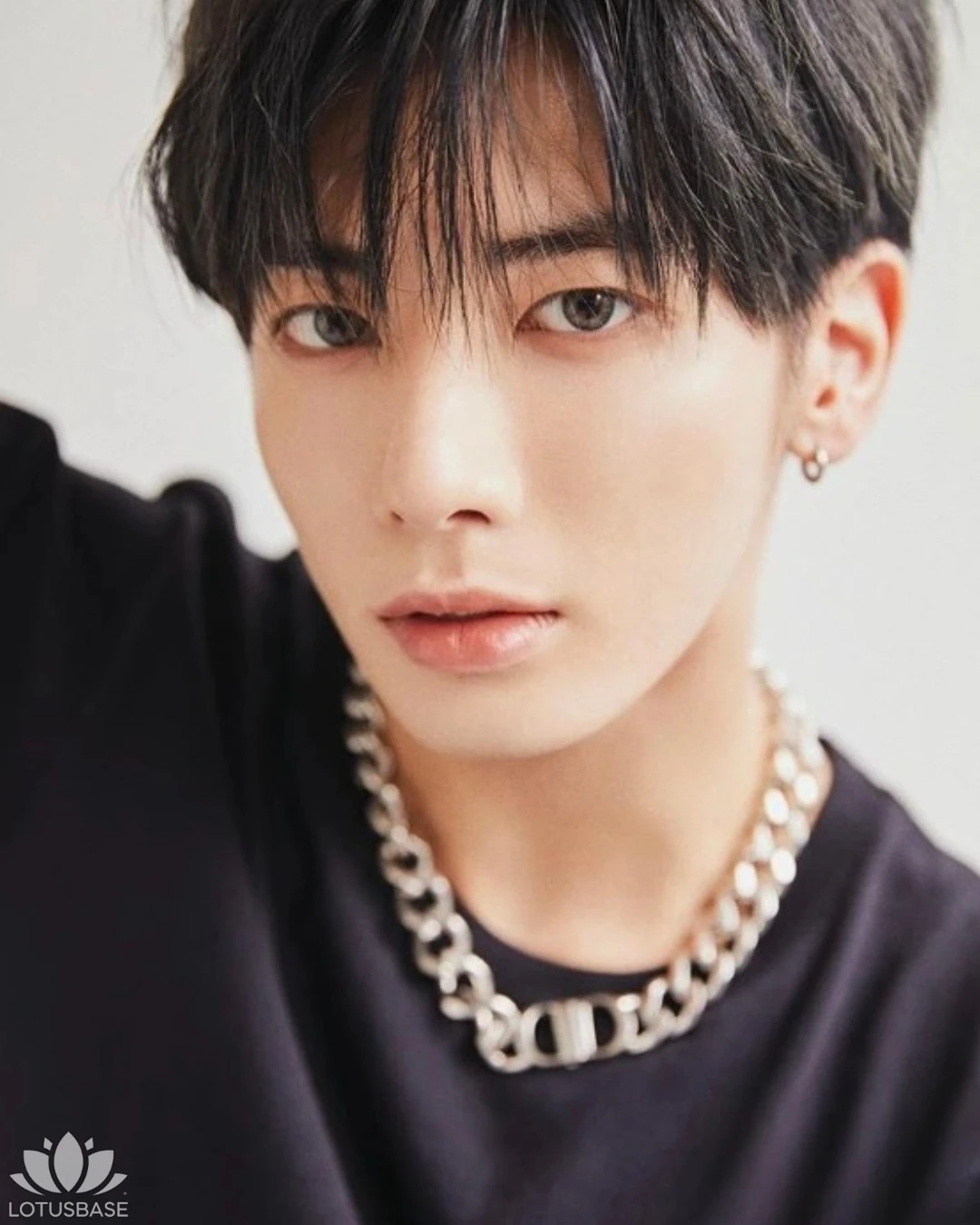 DEC 𑁍 | K-Pop Fanon Fandom Wiki | Fandom