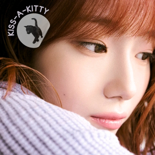 KISS-A-KITTY | K-Pop Fanon Fandom Wiki | Fandom