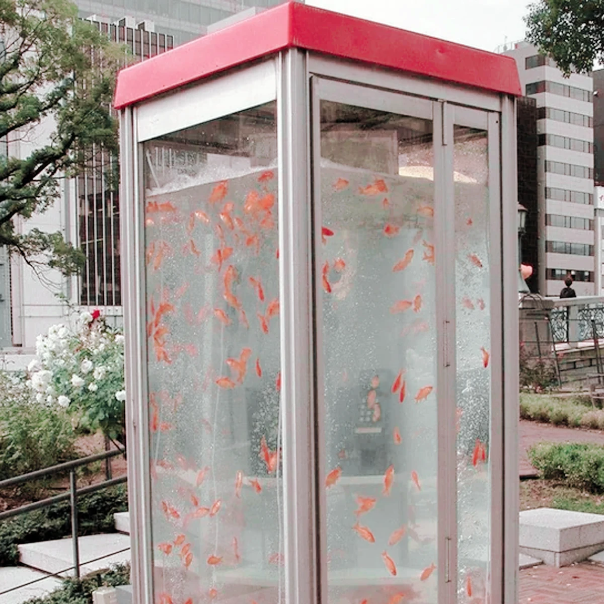 RING! RING! RING! | K-Pop Fanon Fandom Wiki | Fandom