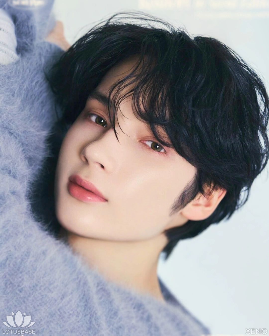 Xeno 𑁍 | K-Pop Fanon Fandom Wiki | Fandom