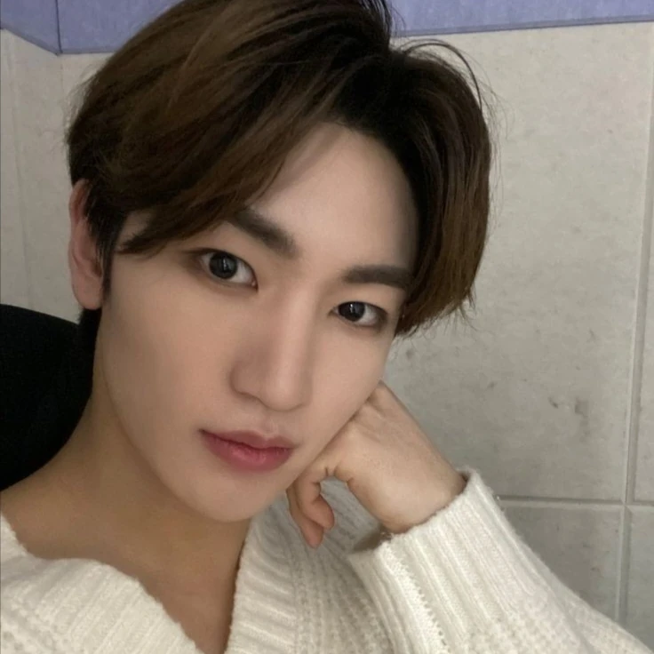 Im Saejun | K-Pop Fanon Fandom Wiki | Fandom