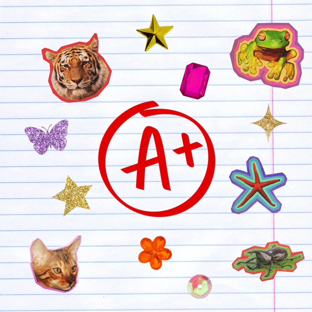 Aplus | K-Pop Fanon Fandom Wiki | Fandom