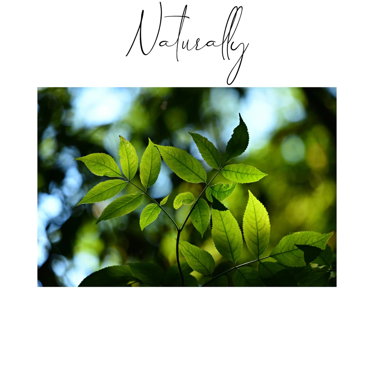 Naturally | K-Pop Fanon Fandom Wiki | Fandom