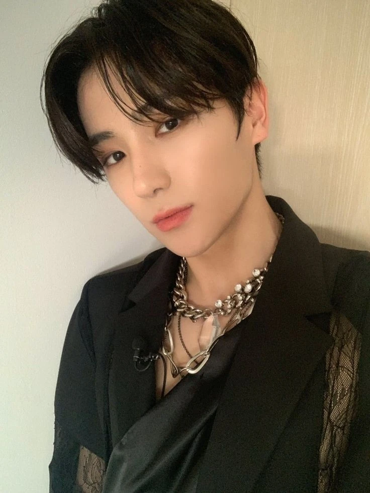 Woo-Sung (VALIGHT) | K-Pop Fanon Fandom Wiki | Fandom