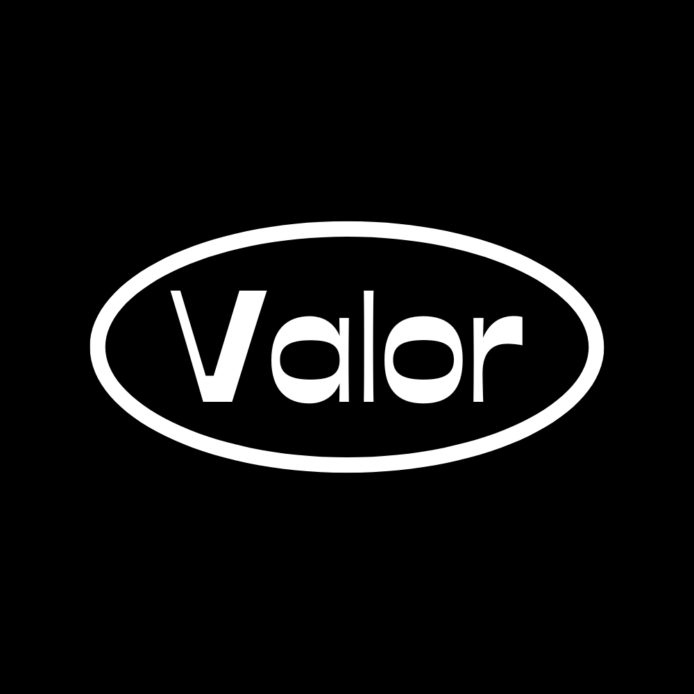 VALOR | K-Pop Fanon Fandom Wiki | Fandom