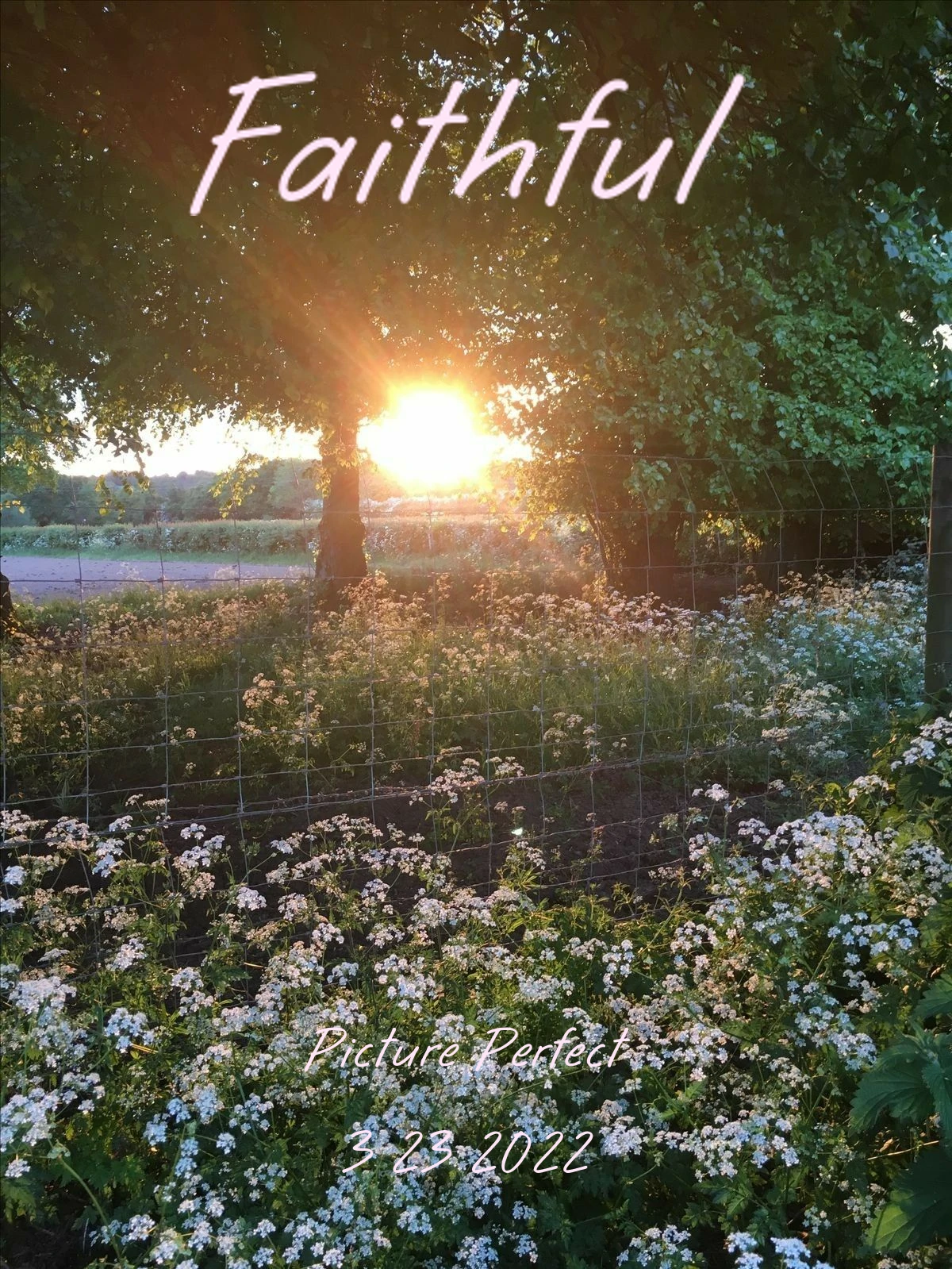 Faithful | K-Pop Fanon Fandom Wiki | Fandom