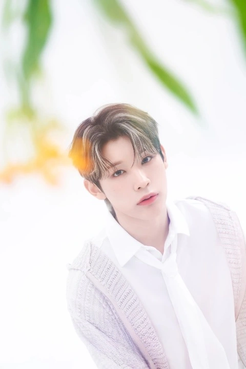 Pyon Dae-Jung | K-Pop Fanon Fandom Wiki | Fandom