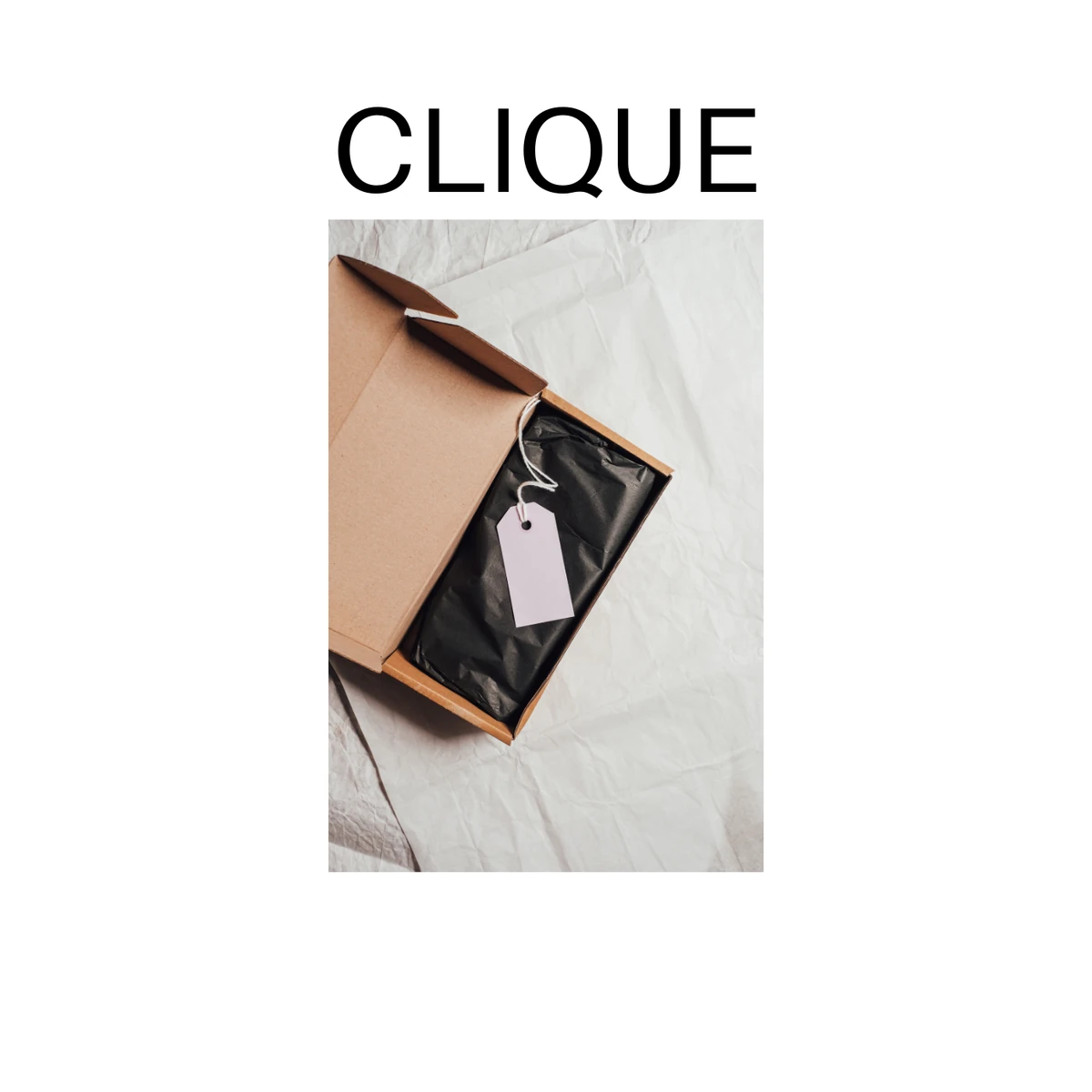 CLIQUE | K-Pop Fanon Fandom Wiki | Fandom