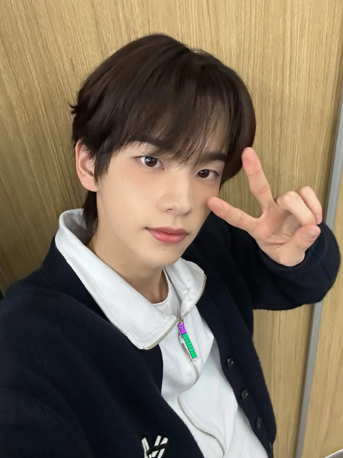 Shinhaesol | K-Pop Fanon Fandom Wiki | Fandom