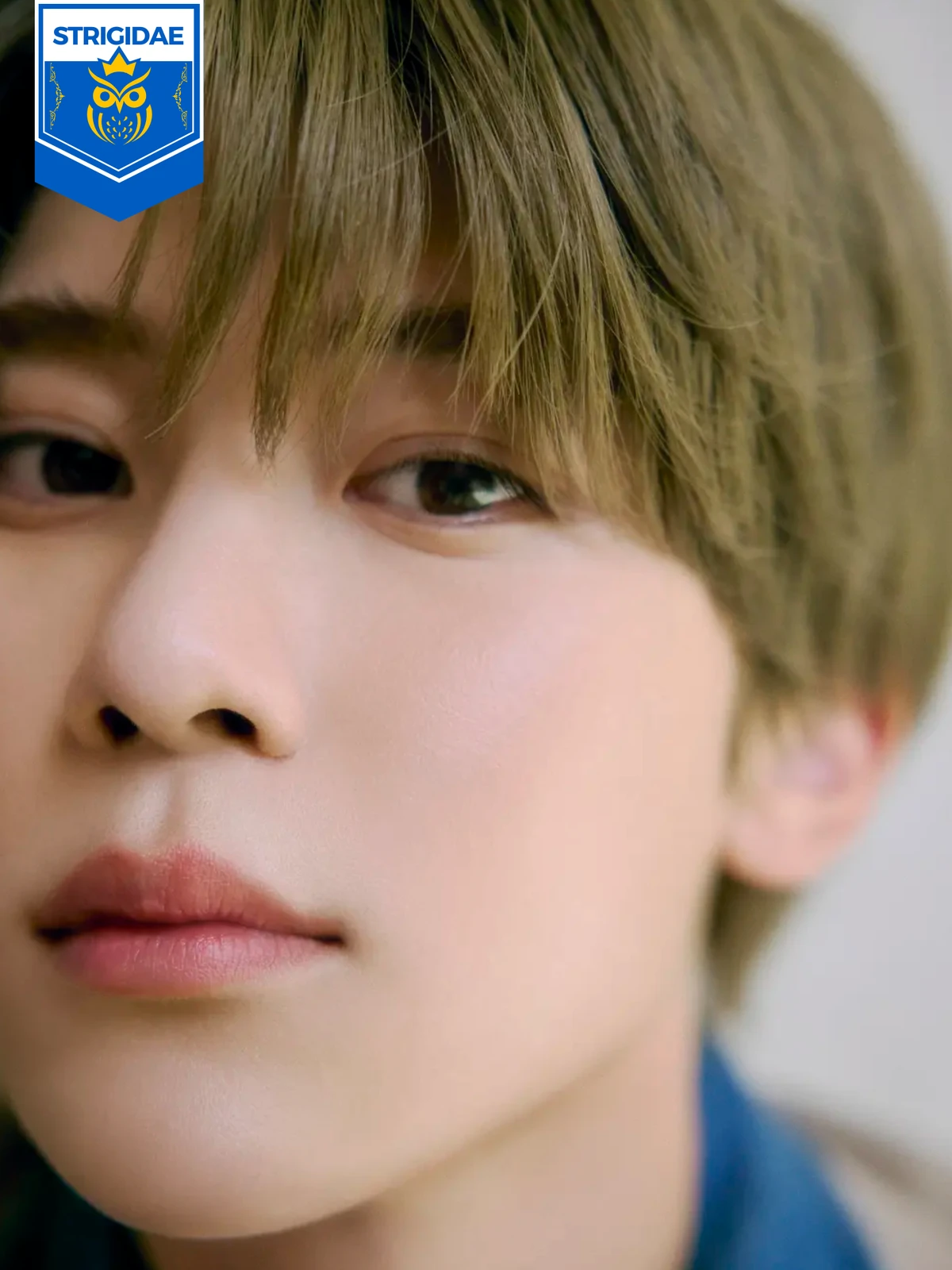 Han Haeyang | K-Pop Fanon Fandom Wiki | Fandom